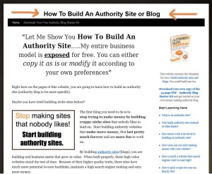 The Anatomy of a Small Basic Authority Site